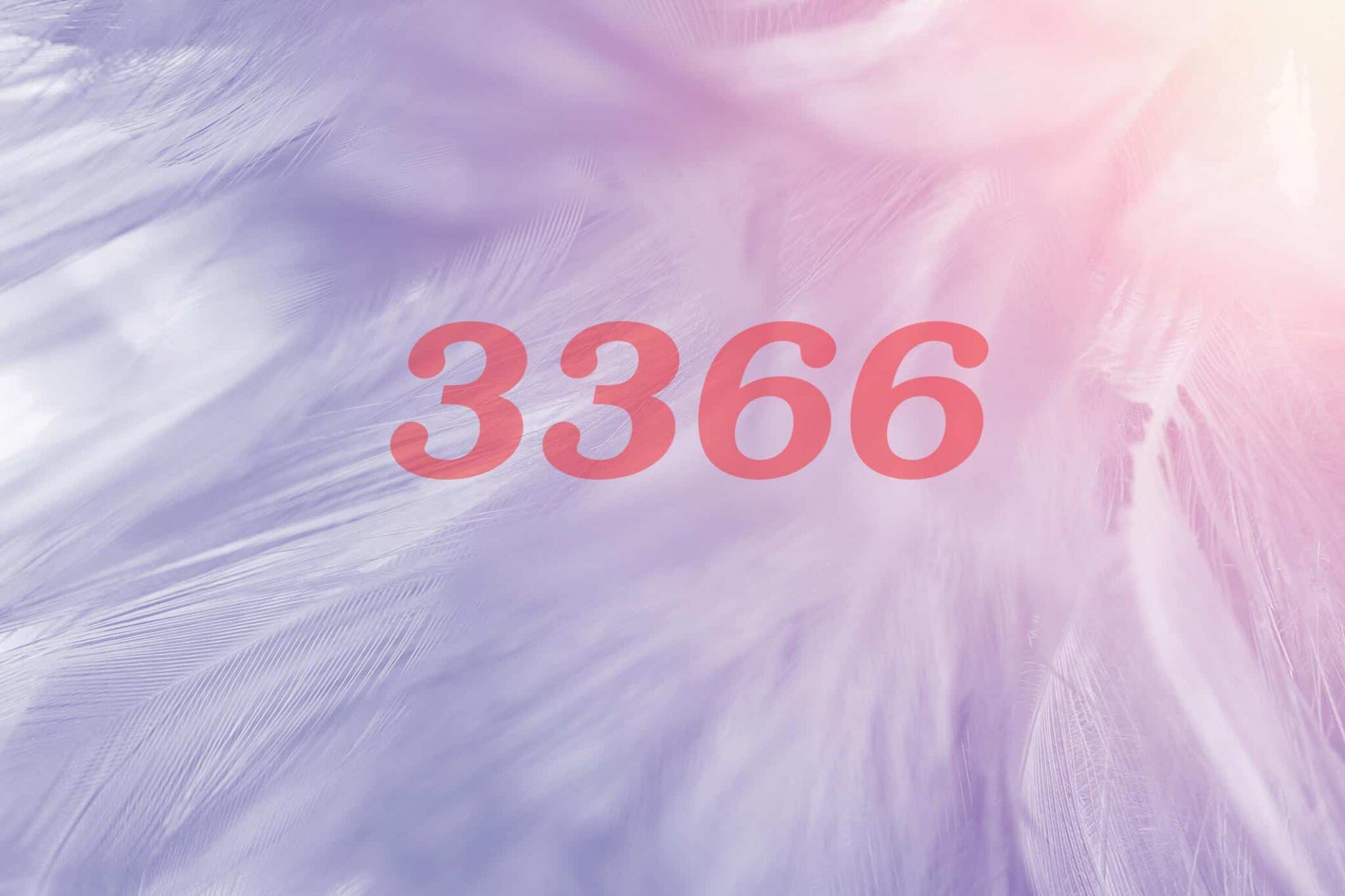 3366 Angel Number Meaning: Spiritual, Biblical And Twin Flame ...